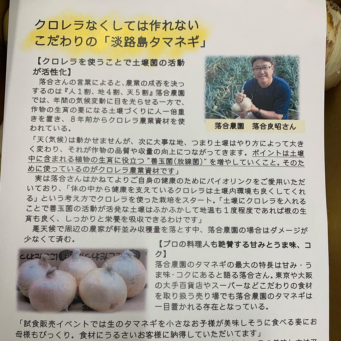 クロレラ栽培、淡路島タマネギ！！ | おくすりサロンひなた